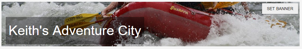 Customize my Store - PicThrive